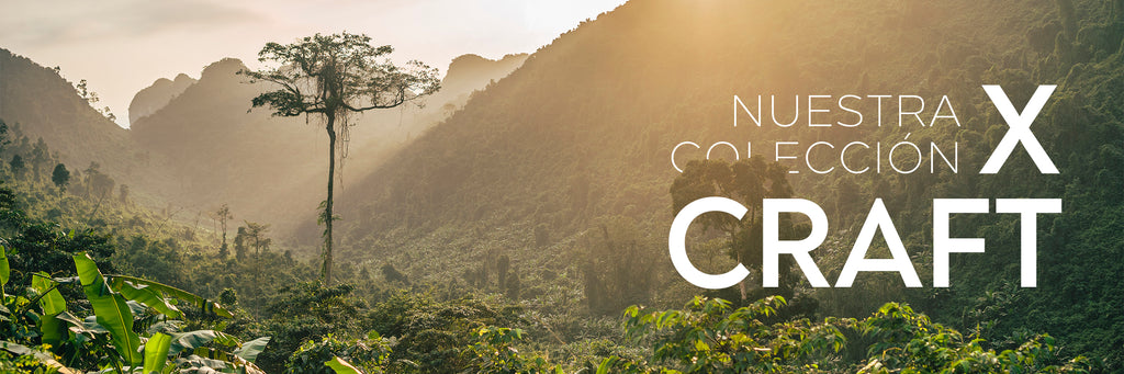 La historia detrás de X - Craft – L'Atelier Bogotá